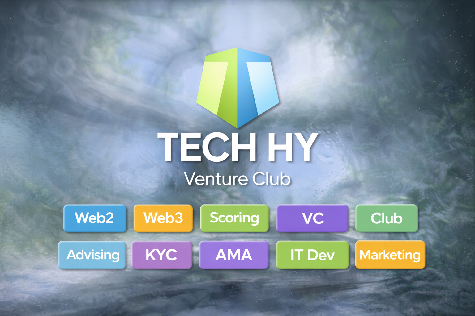 Find Your Startup's Blind Spots in 5 Minutes | TECH HY VC